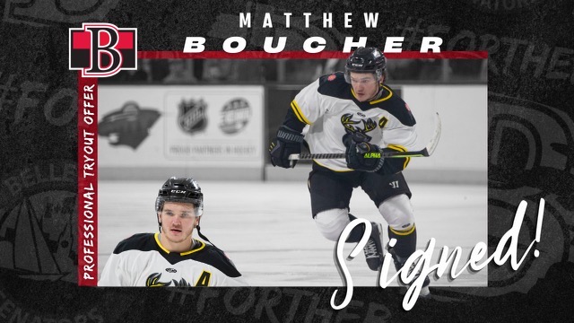 Belleville Sens sign defenceman Nick Albano to professional tryout ...