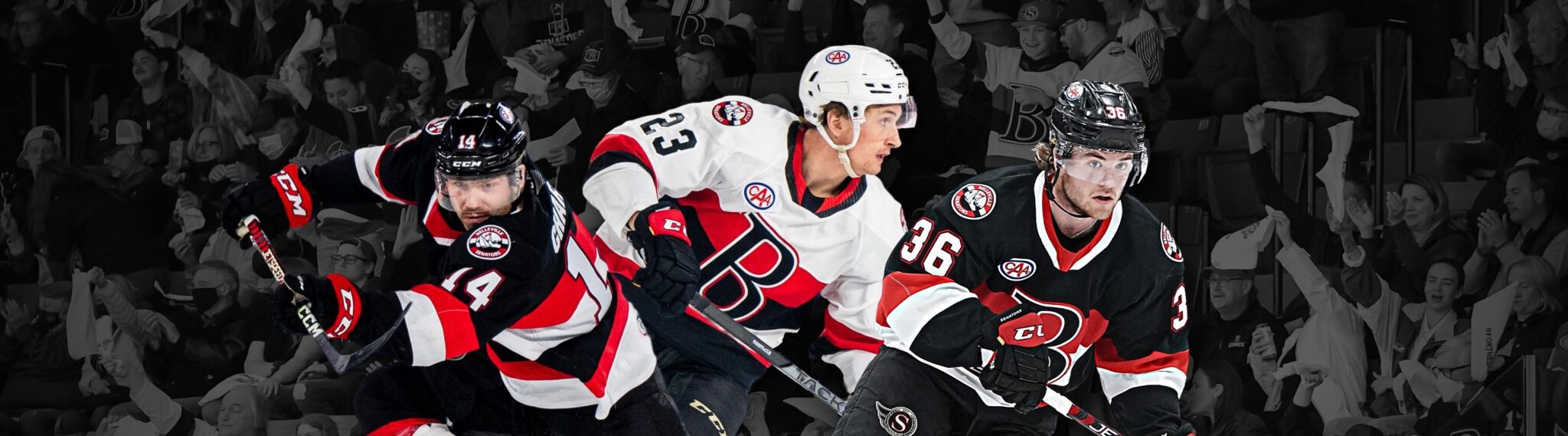 Ticket Hub – Belleville Sens